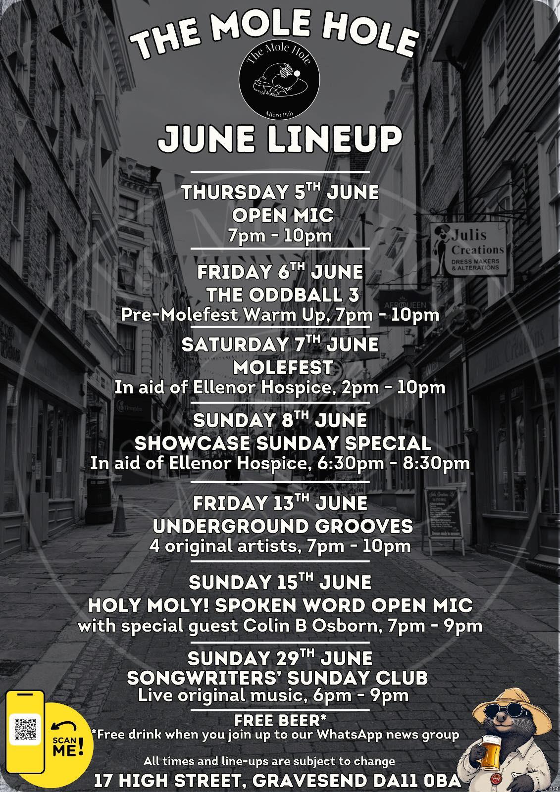 Open Mic Night @ The Mole Hole