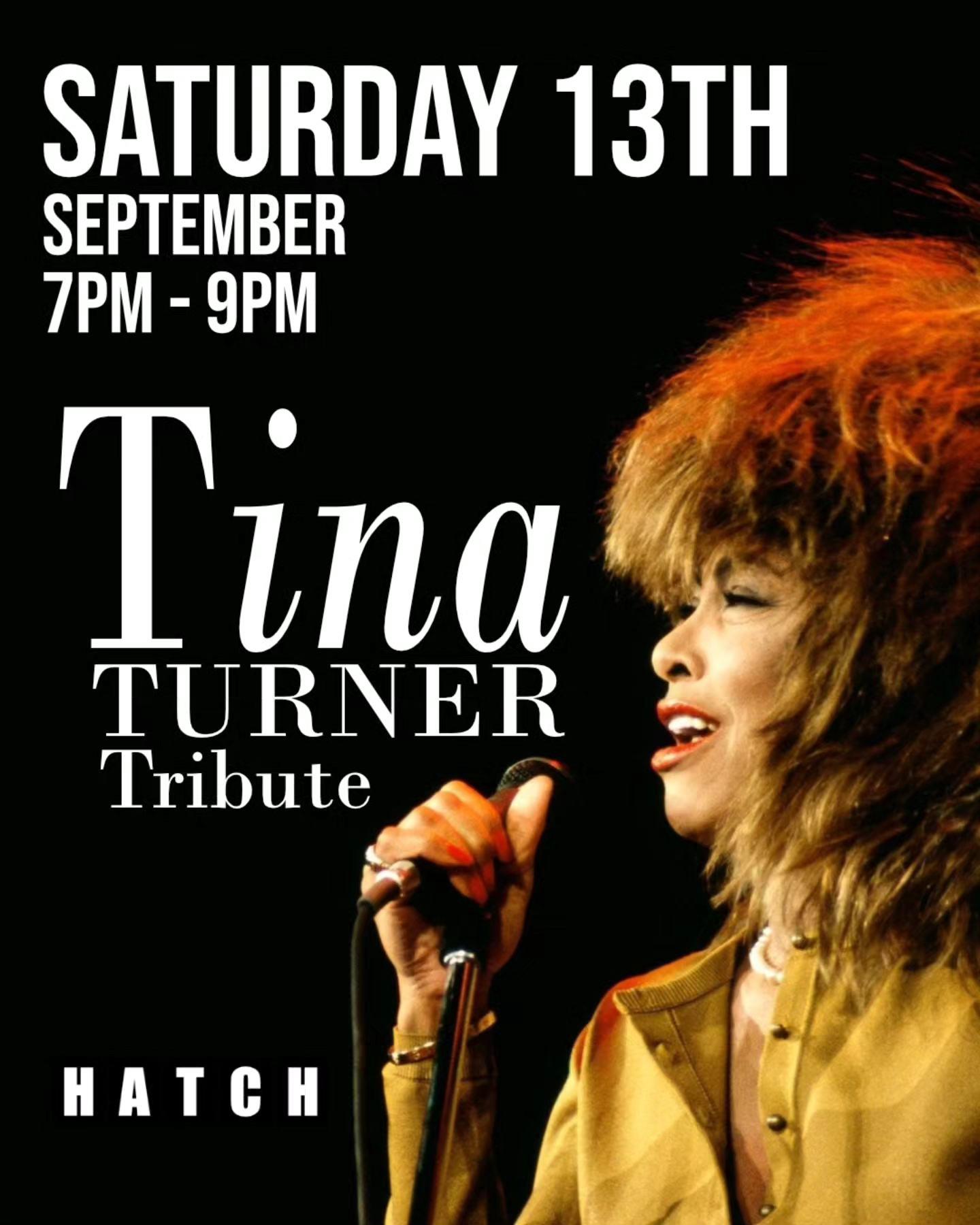 Tina Turner Tribute